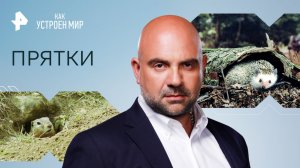 Прятки — Как устроен мир с Тимофеем Баженовым (21.09.2023)