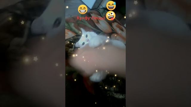 #смешной#юмор#смех#рекомендация