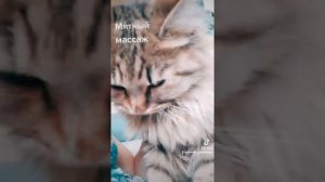 Мятный массаж