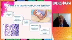Эффективность аллоферона в компл. терапии хронического рецидивирующего папилломавирусного цистита