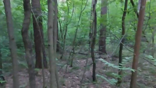 ВЕРНУТЬ ЗЛО НАЗАД. ДЛЯ ВСЕХ.