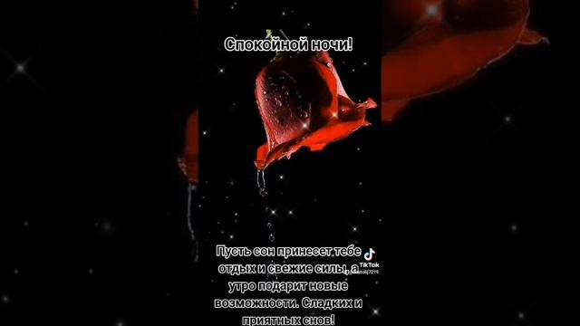 1000005261.mp4