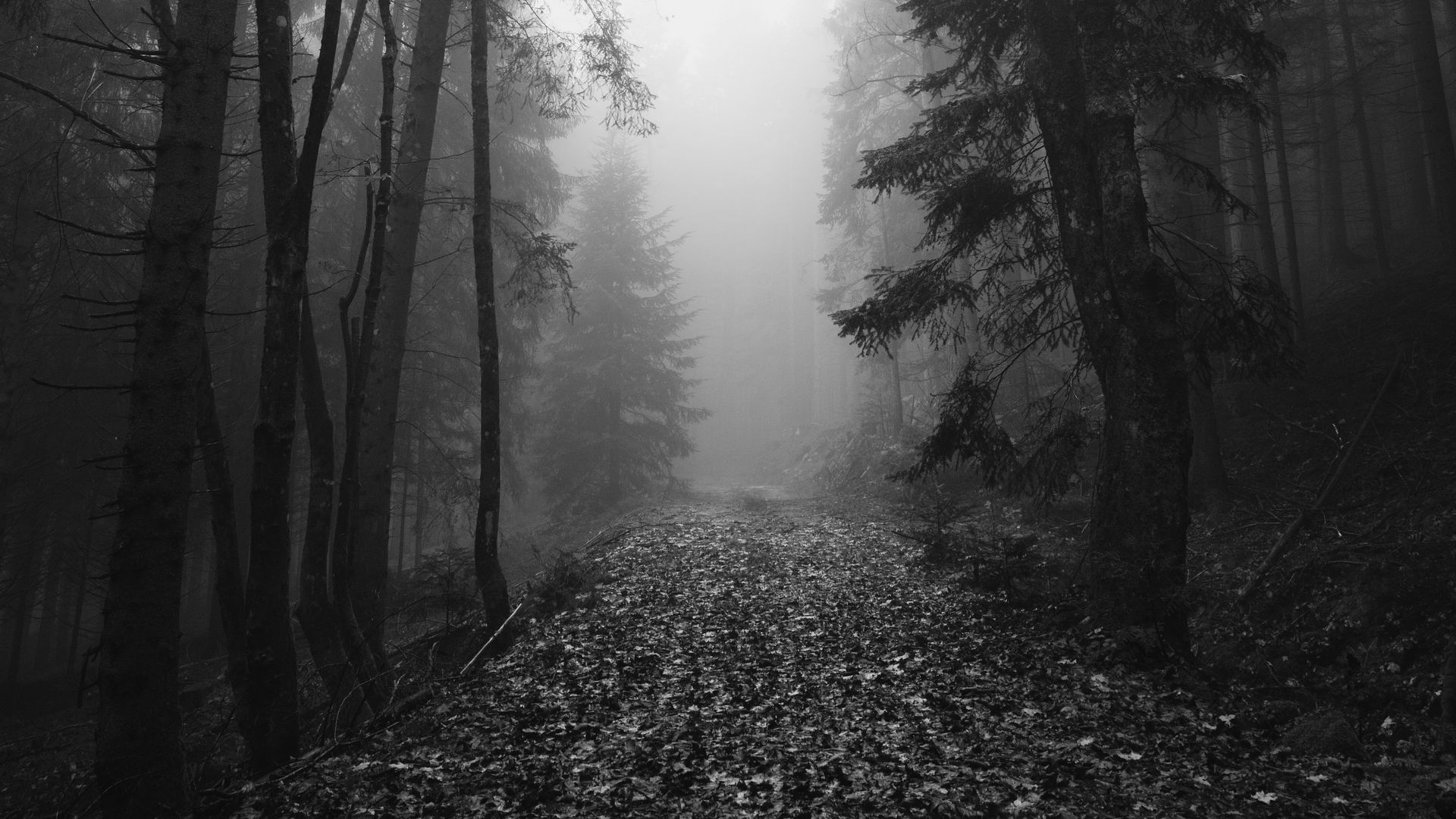 1409 beats - Trail Underground Boom Bap Beat Rap Минус Hip Hop Instrumental #beat #underground