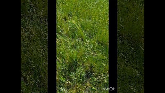 мужчины и женщины.mp4
