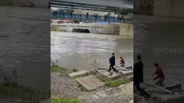 Карточка видео