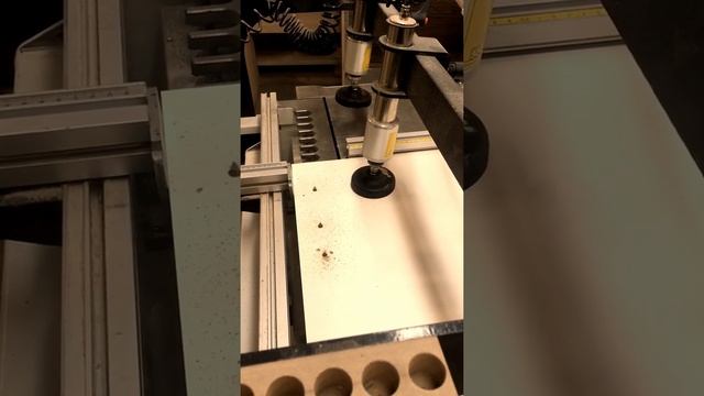 Производство корпусной мебели от Штернкрафт