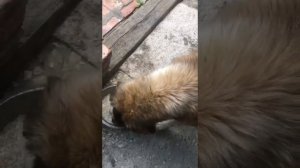 Офигенная ?