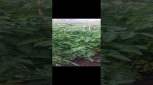 20230730_172454.mp4