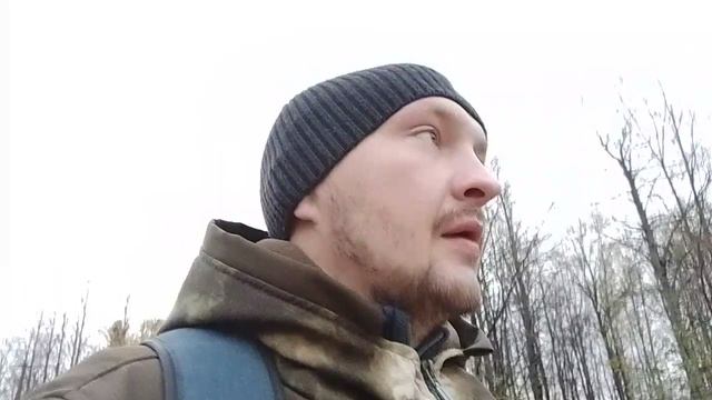 Выборы в Польше ??, поставки оружия на Украину ??. сво Россия ??