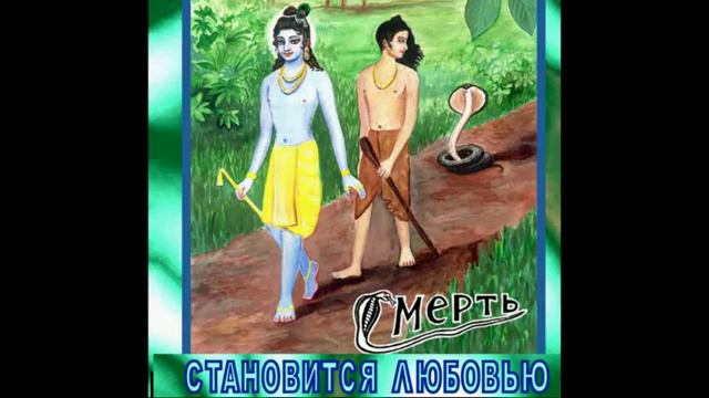 ИГРЫ