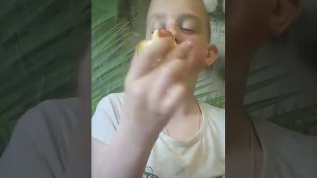 яблоко