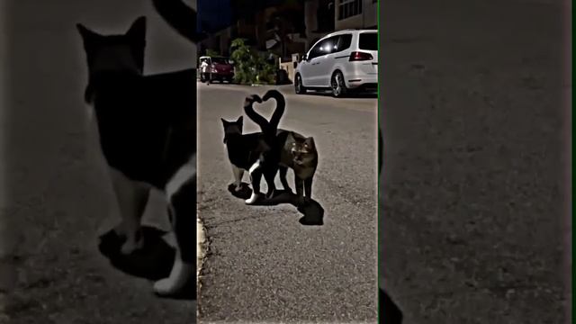 ты знаеш куда отправить🤕