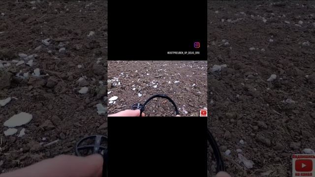 #коп #копатели #металлоискатель #поискмонет #приборныйпоиск #ww2 #xp #deus