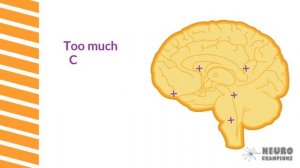 How Stress Affects Your Brain | Neuro Champions