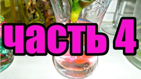 ???Орхидеи в воде спустя 4 месяца. Часть 4  Orchids in water after 4 months..mp4