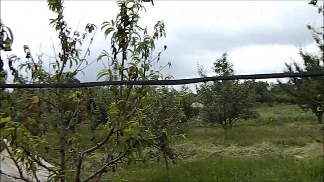 Негативные моменты....mp4