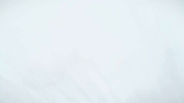 24 часа с Алисой?! подпишись на наш yappy контент и на наш канал в Rutube.