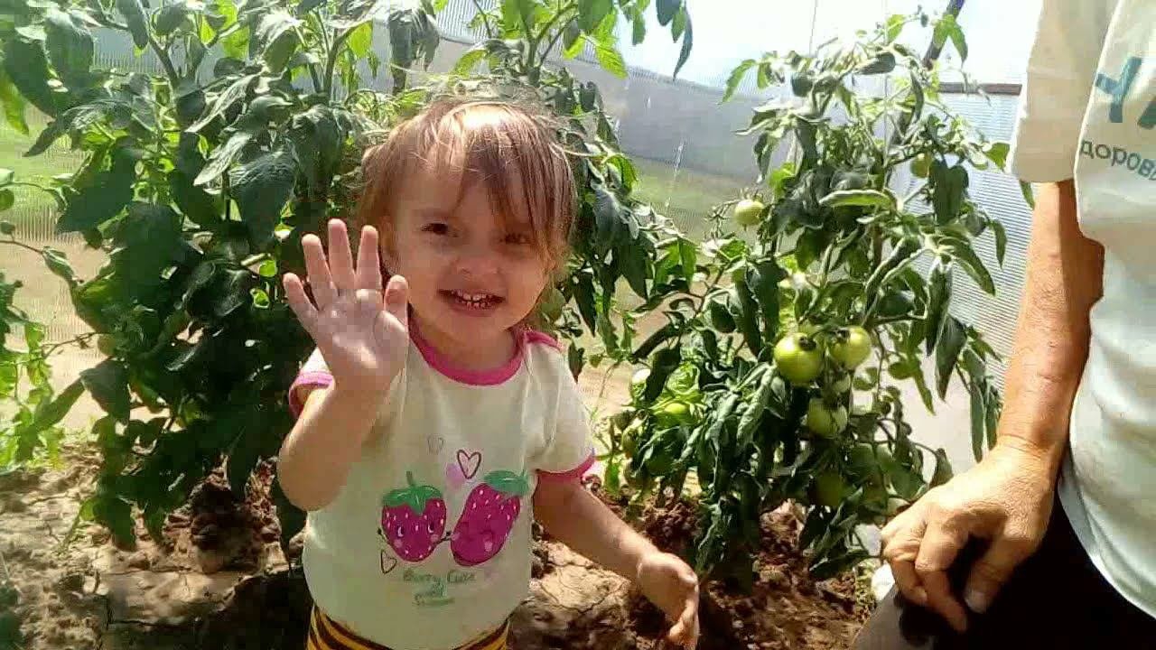 Такого мы не ждали Какие последствия