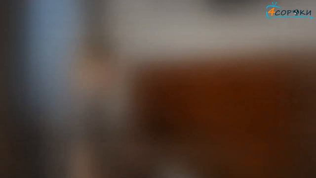 Сюжет Александра Лушпая _11 плюсов дистанта