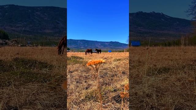 Природа Башкирии 🐎