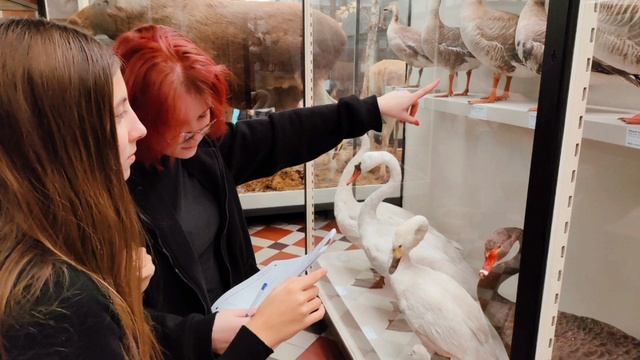 Естественно-научная вертикаль