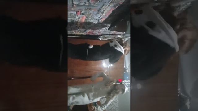 Like_7397847878815147909.mp4