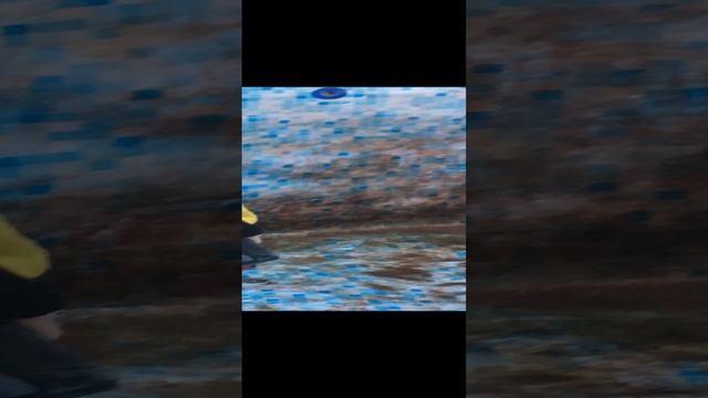 Чистка бассейна 1