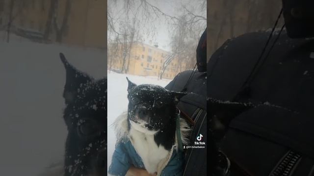 Отдых.