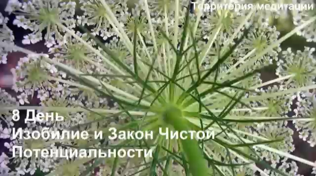 8 День Медитация Изобилие и Закон Чистой Потенциальности