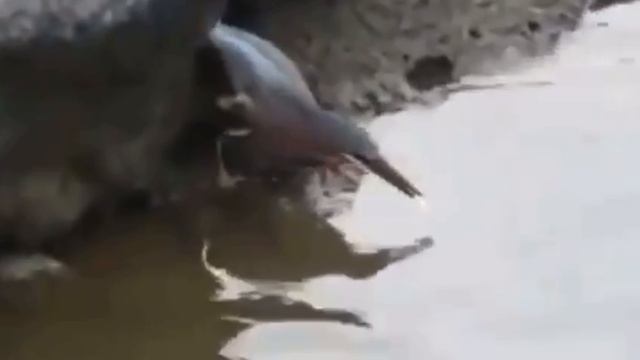 Рыбак