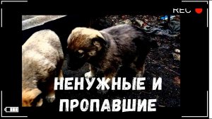 Пропавшие и ненужные....