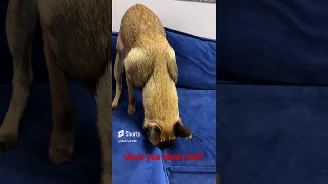 Большой секрет ?