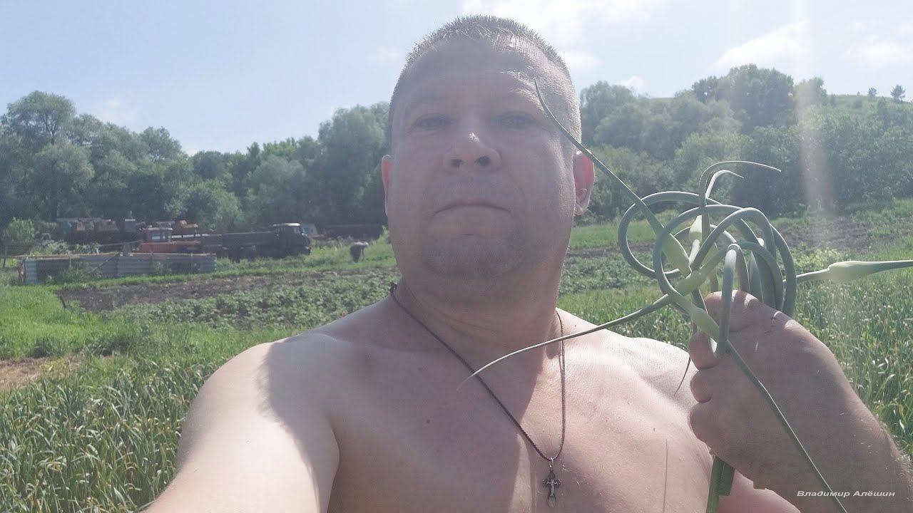 Сделайте это с чесноком, УВЕЛИЧЬТЕ УРОЖАЙ! Обламывание стрелок, МУЛЬЧИРОВАНИЕ