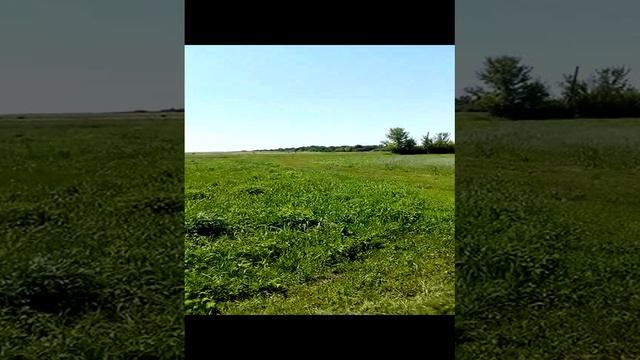 VID_20230707_120500