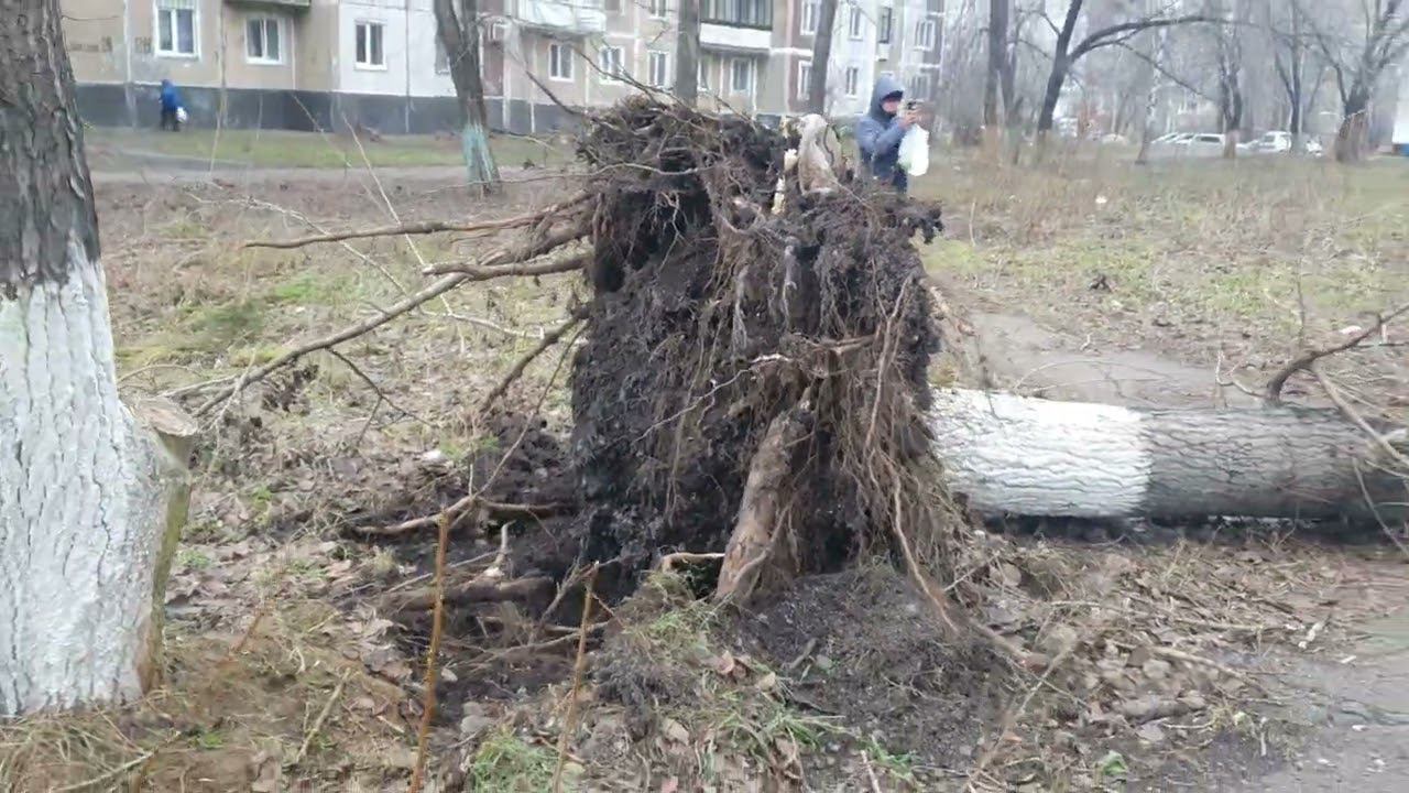 Последствие урагана в Новокузнецке 19.11.2023 года.