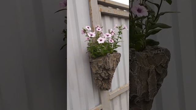 ... живые растения отлично обживают  искусственный камень.