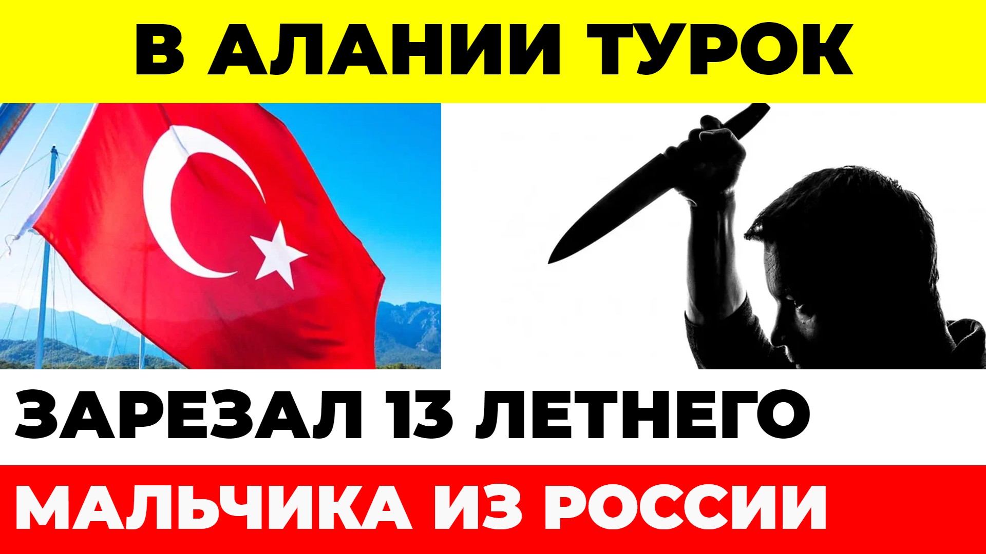 Между русским и турком возник спор который привел к....