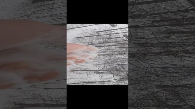 обзор на зиму=/