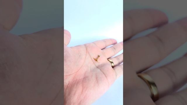 Piercing de prata para orelha - formato dinossauro