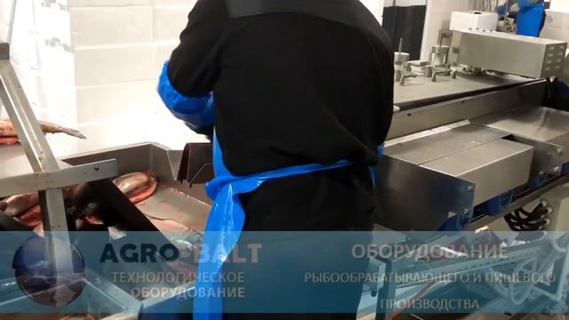 Линия по переработке форели (1)