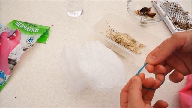 Капли цикламена рецепт