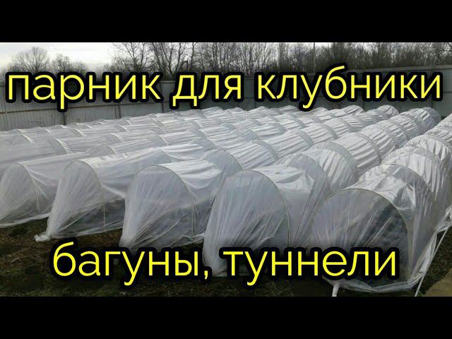 Как сделать парник для клубники. Багуны, туннели для клубники.