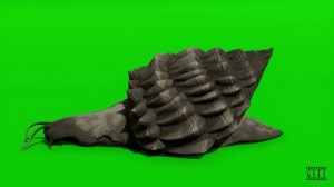 Green Screen - Улитка (Snail) по игре Survival Evolved