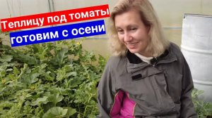 С осени готовим теплицу под томаты: дезинфекция и повышение плодородия земли.