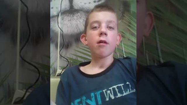 Я показываю игрушки
