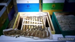 Осмотр зимовника в Сибири, погибло еще 2 семьи