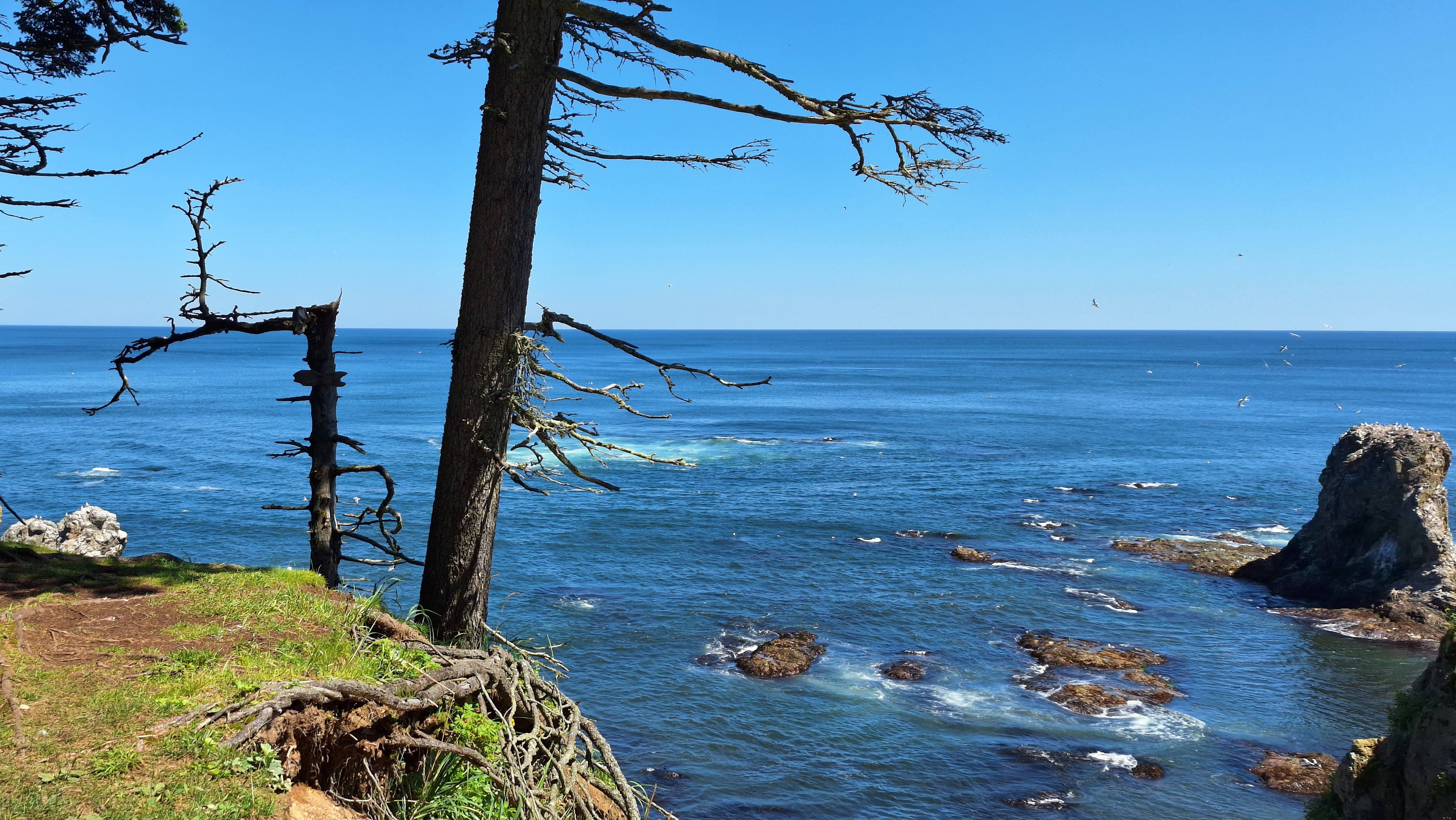 Сахалин   К мысу Птичий