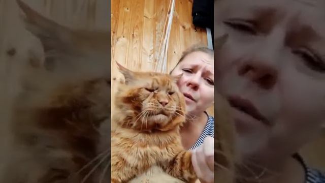 the best kind of Duet human and animal