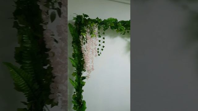 Дом бабочек в Миассе
