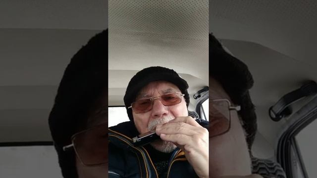 И.Истомин. В авто. Итальянская полечка